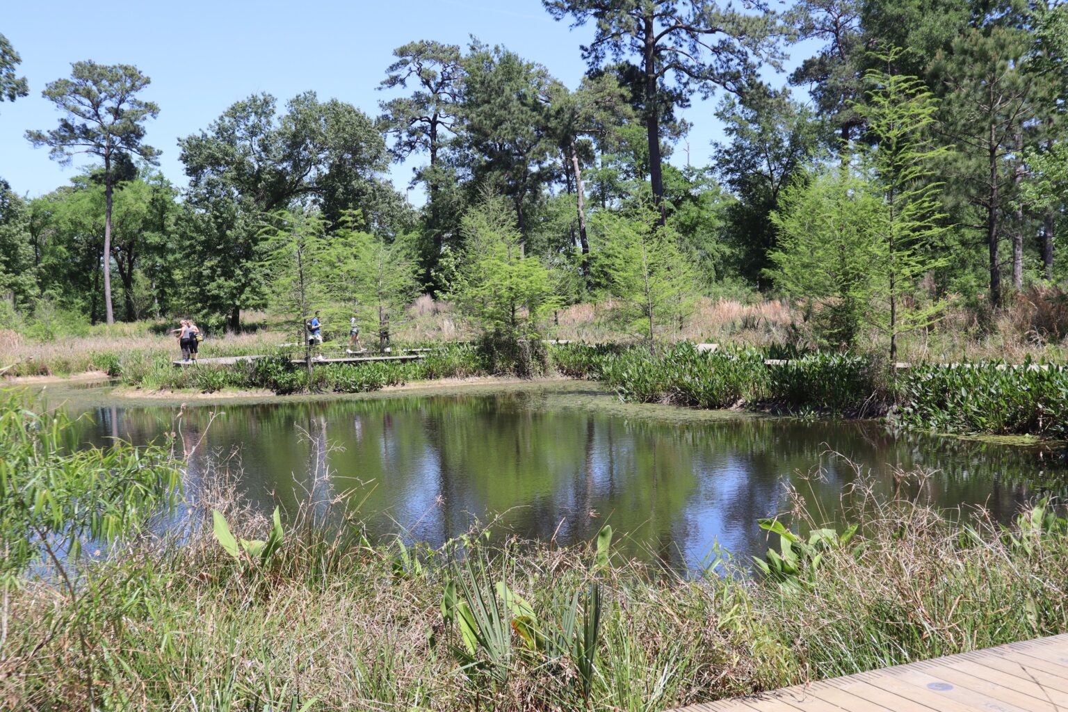 Exploring Houston: A Local’s Must-See Attractions and Insider Tips ...
